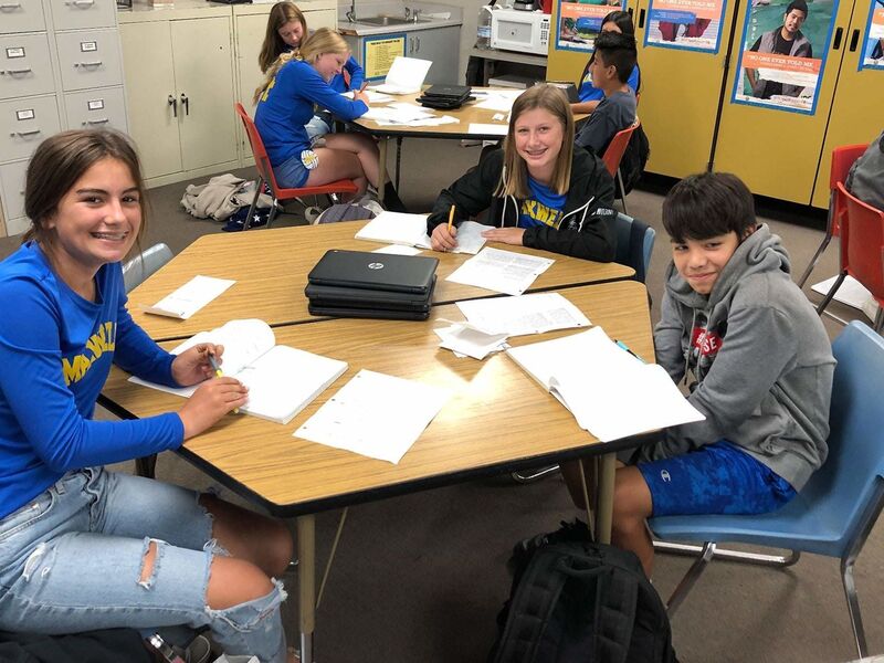 National Writing Project | Our Impact