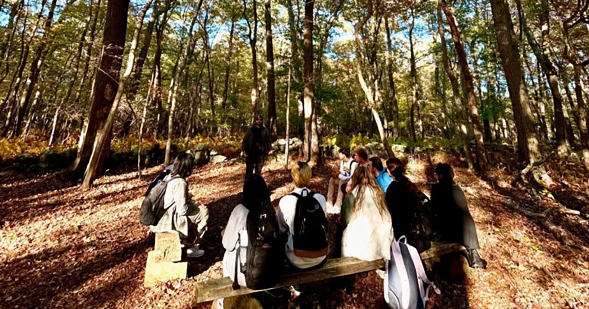 National Writing Project | Professional and Public Writing Department…